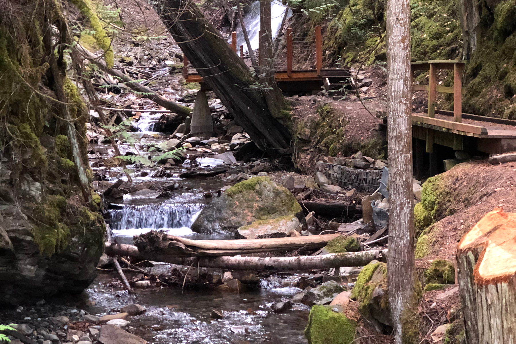 Fletcher Falls hike offers stunning views – Hidden Gems of BC