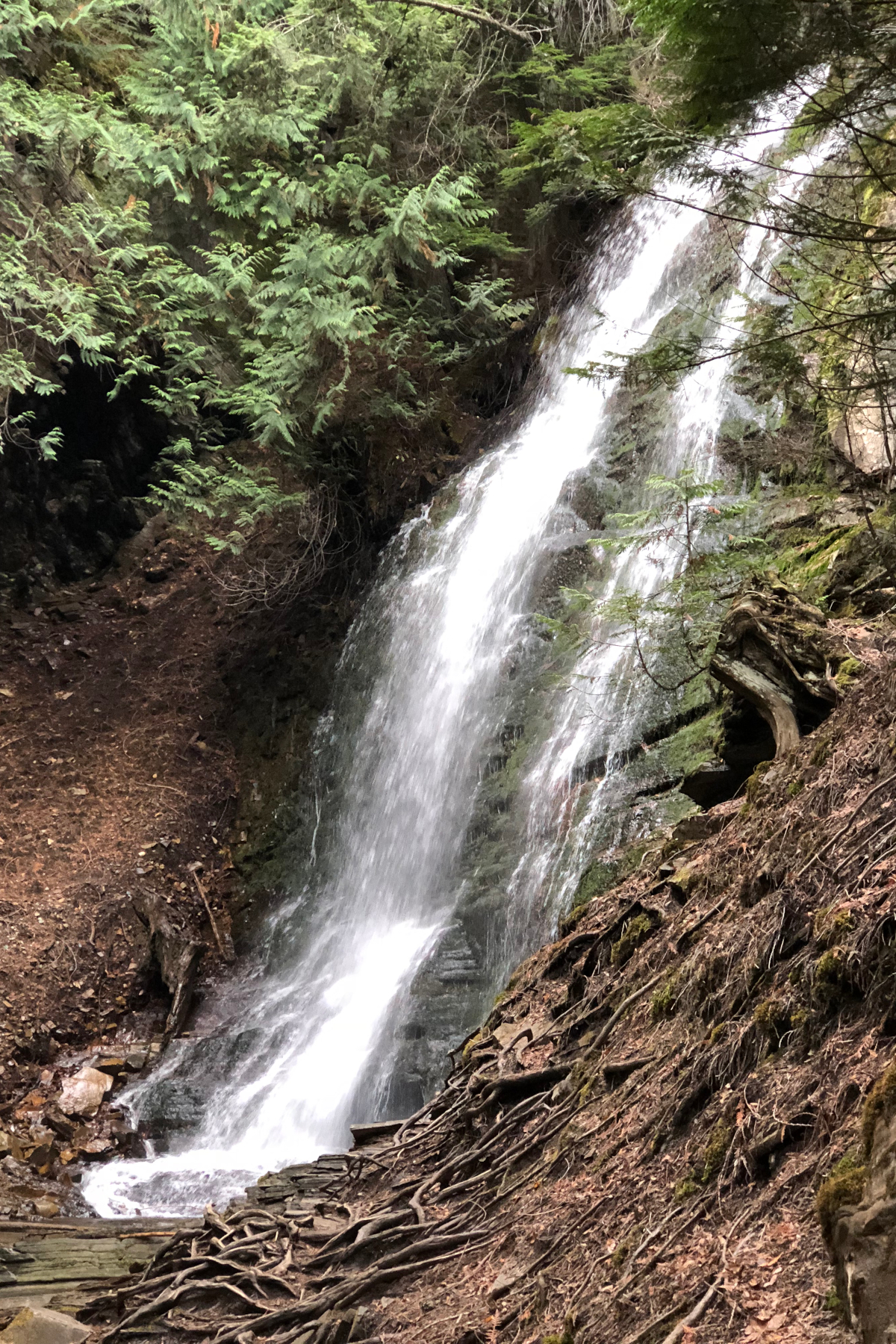 Fletcher Falls hike offers stunning views – Hidden Gems of BC