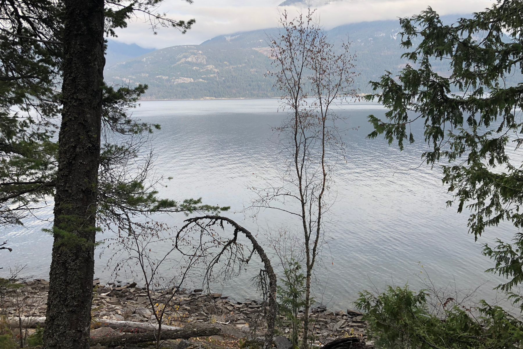 Fletcher Falls hike offers stunning views – Hidden Gems of BC