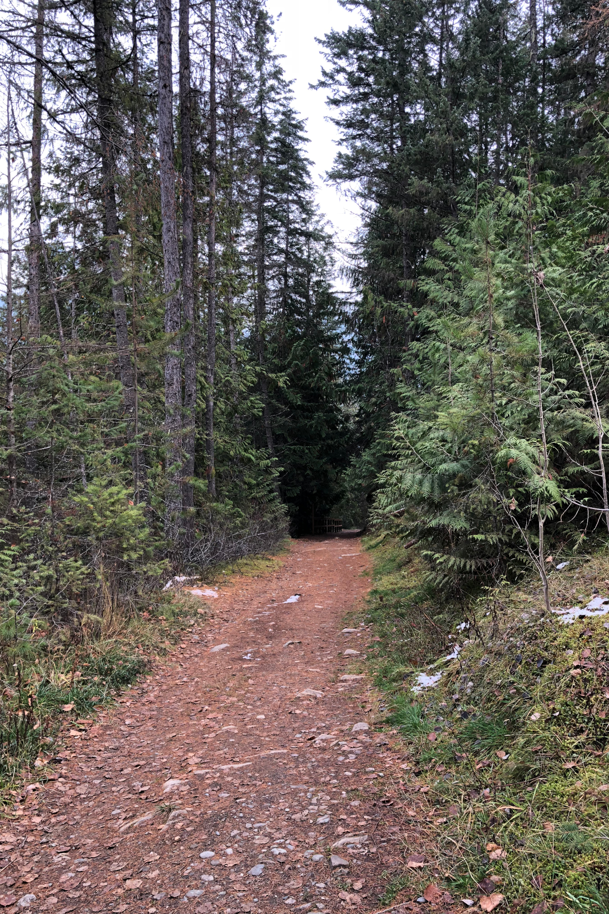 Fletcher Falls hike offers stunning views – Hidden Gems of BC