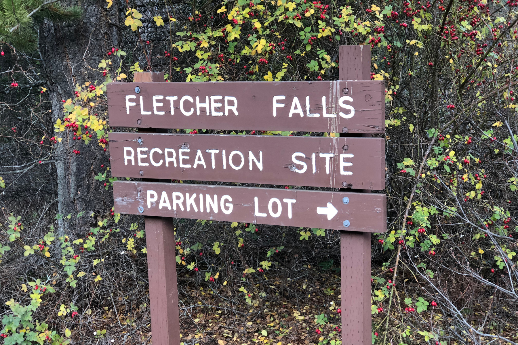 Fletcher Falls hike offers stunning views – Hidden Gems of BC